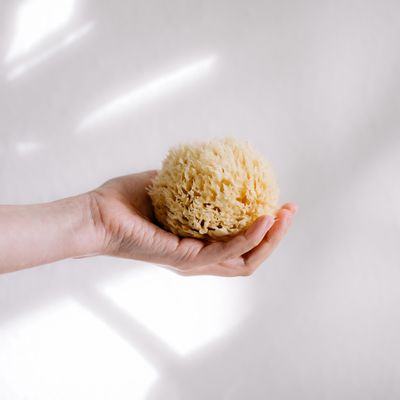 Natural Sea Sponge (S/M/L) | Sustainable Bath Sponge | The French Shoppe